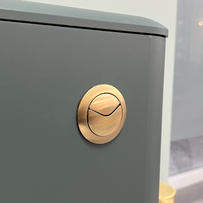 Anatra Brushed Brass Dual Flush Push Button Cover (Rod)