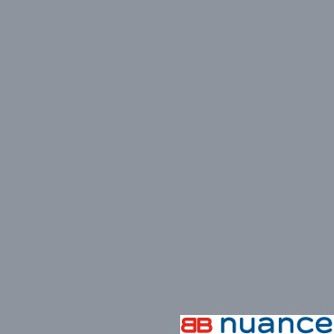 Silver Grey - Nuance Complete Coloured Silicone - 530112