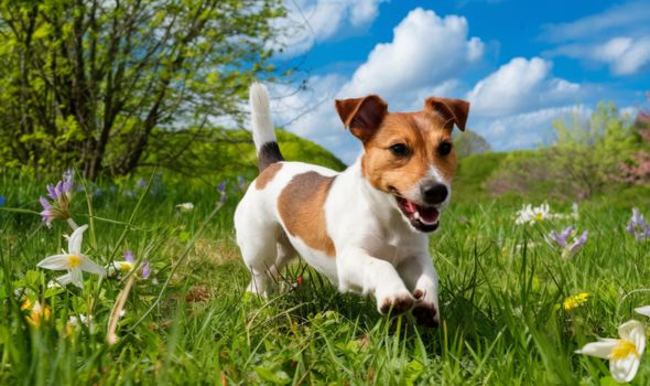 Bathroom Suites | Bathroom Ceiling Cladding | Shower Enclosures