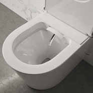 Toilets | Rubberduck Bathrooms