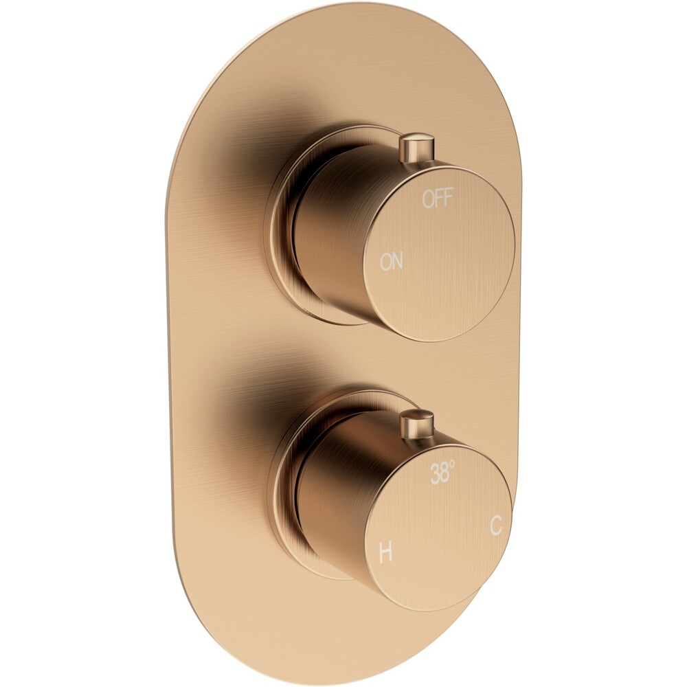 Alabio Round Brushed Bronze Shower Valve with Slide Rail Kit