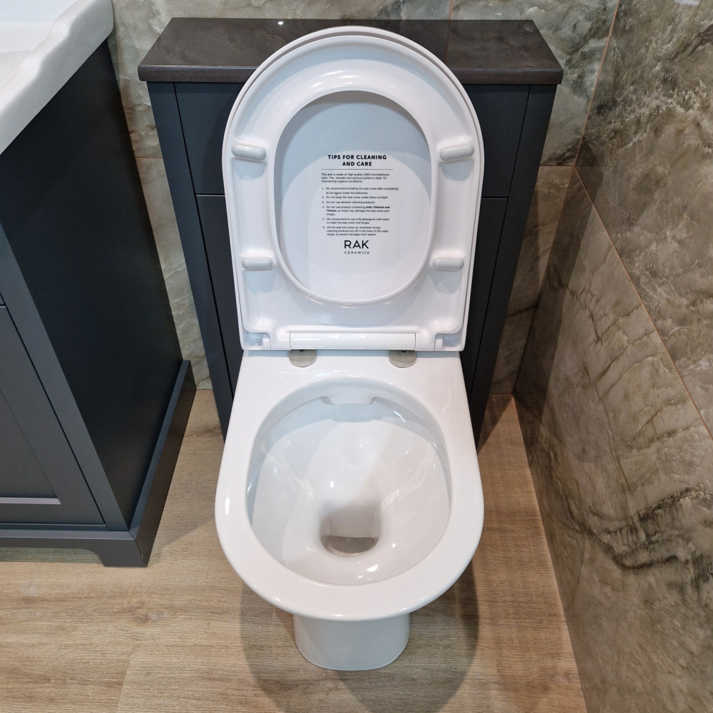 RAK Resort Back to Wall Toilet, RSTBTWPAN