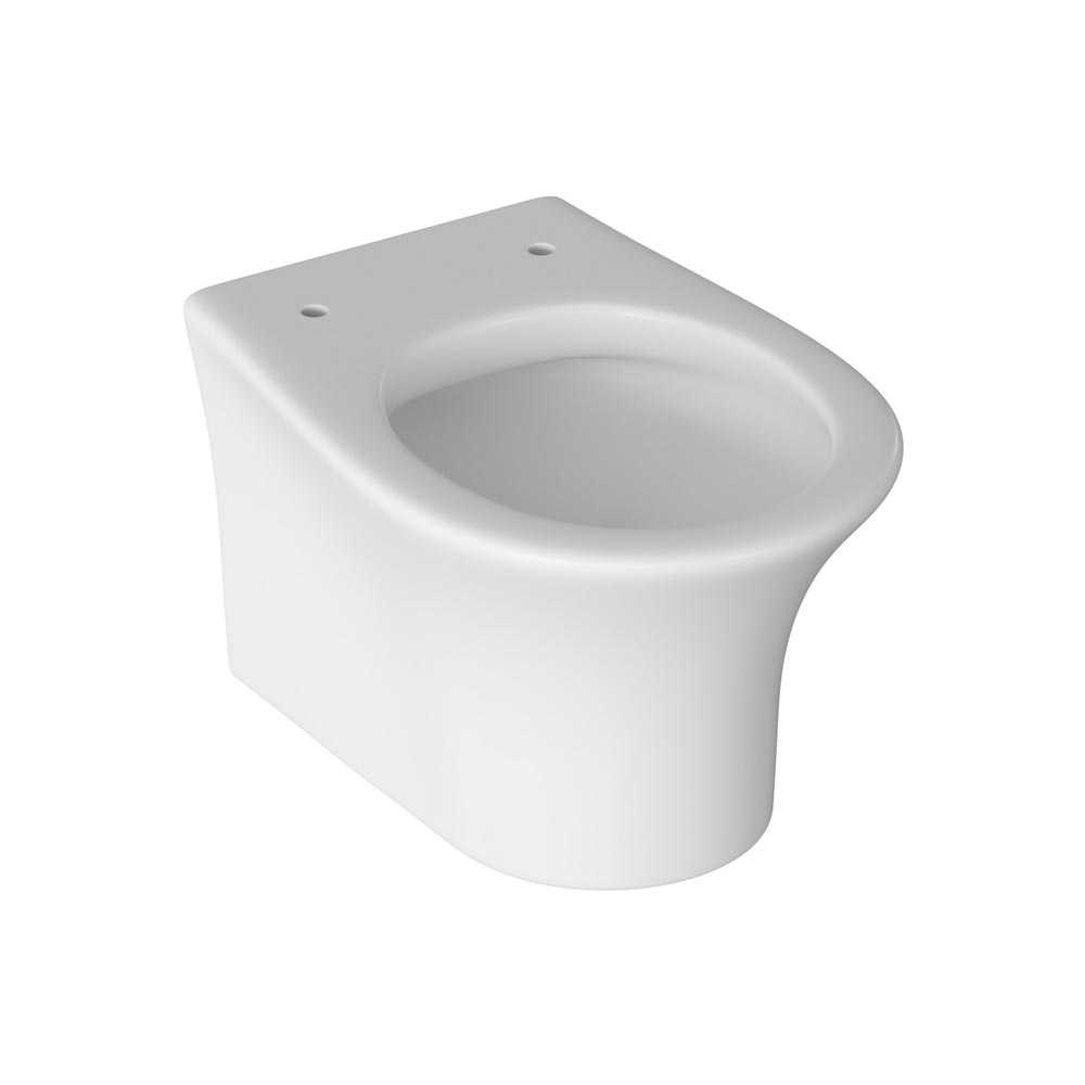Appleyard Rimless Wall Hung Toilet & Soft Close Seat - RDBS104937